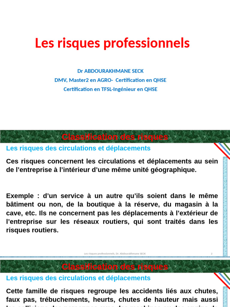 Les Risques Professionnels | PDF