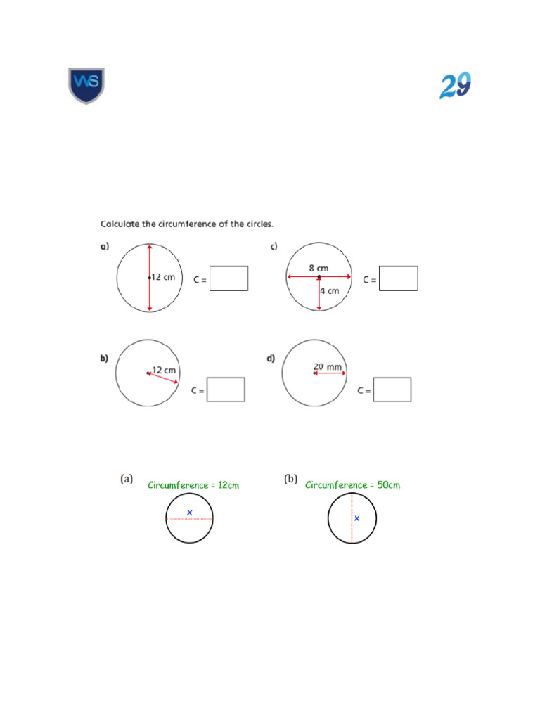 Circle Circumference Worksheet | PDF