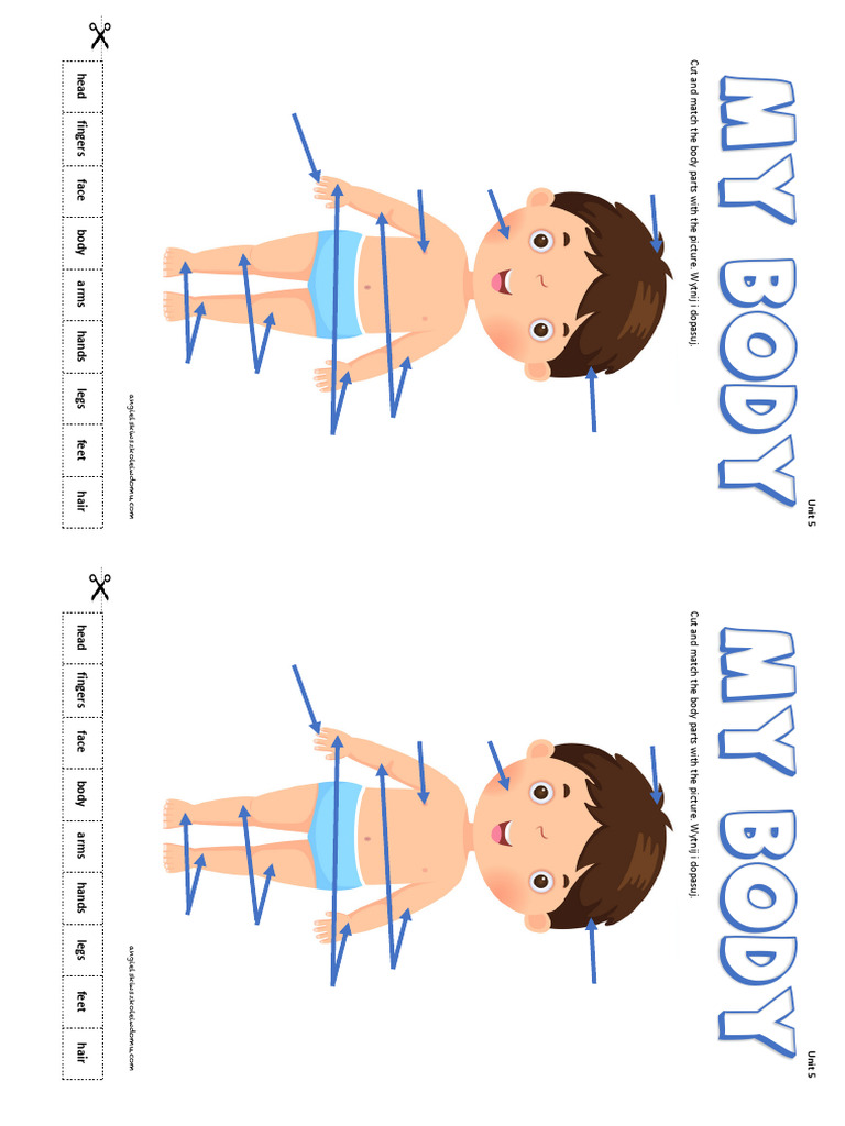 My Body Labelling 2on1 | PDF