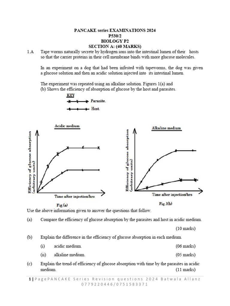 Biology Revision Questions 2024 | PDF | Ventricle (Heart) | Seed