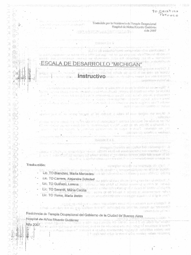 Copia de ESCALA DE DESARROLLO - MICHIGAN 211 | PDF