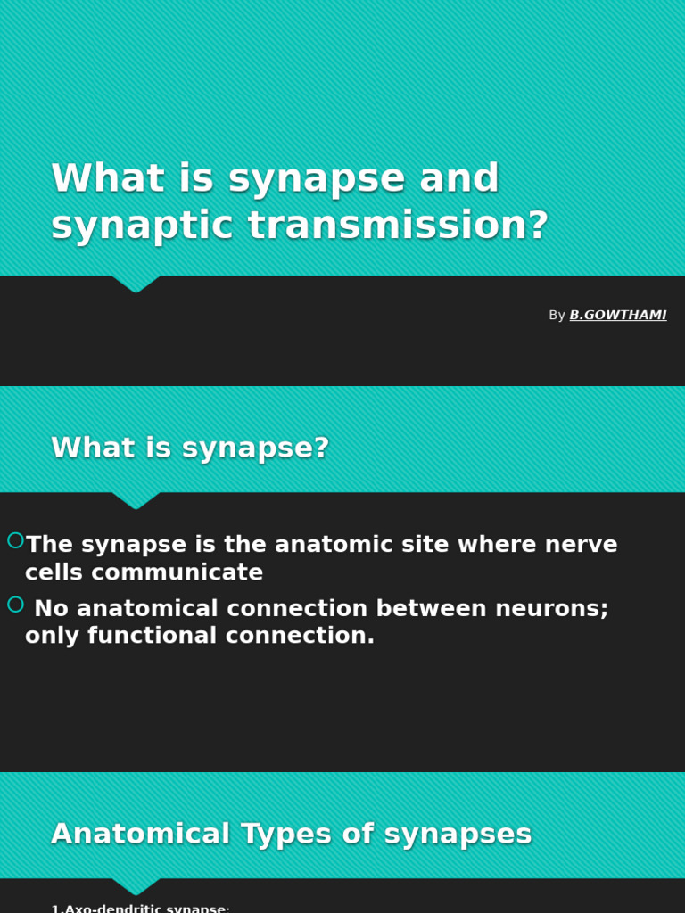 Synaptic Transmission | PDF | Chemical Synapse | Synapse