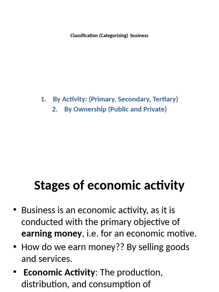 Economic Activity Classification Guide | PDF | Economics | Goods