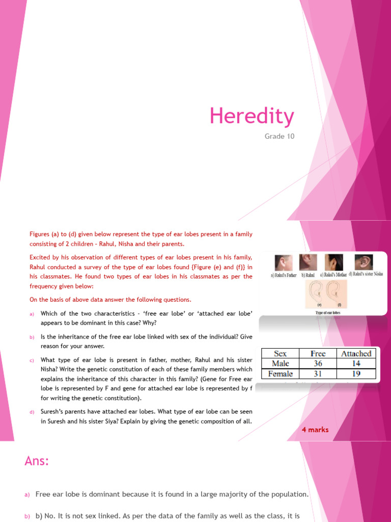 Understanding Heredity and Genetic Traits | PDF | Dominance (Genetics ...