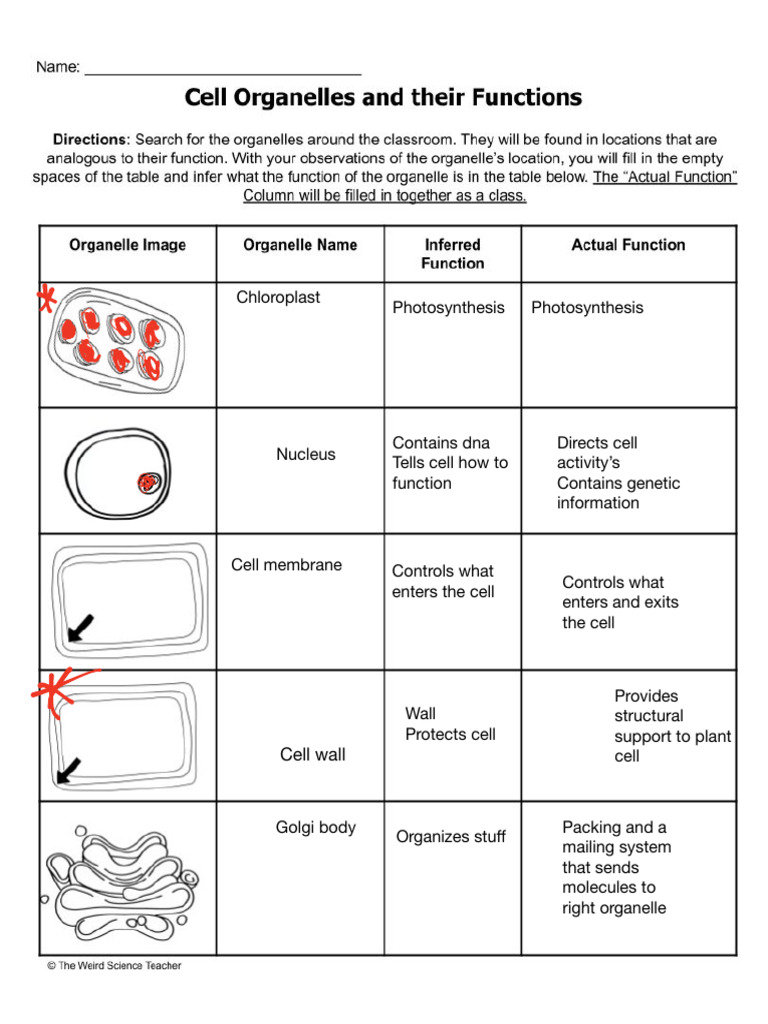 A Cell Is Like A Classroom Scavenger Hunt - Handout | PDF