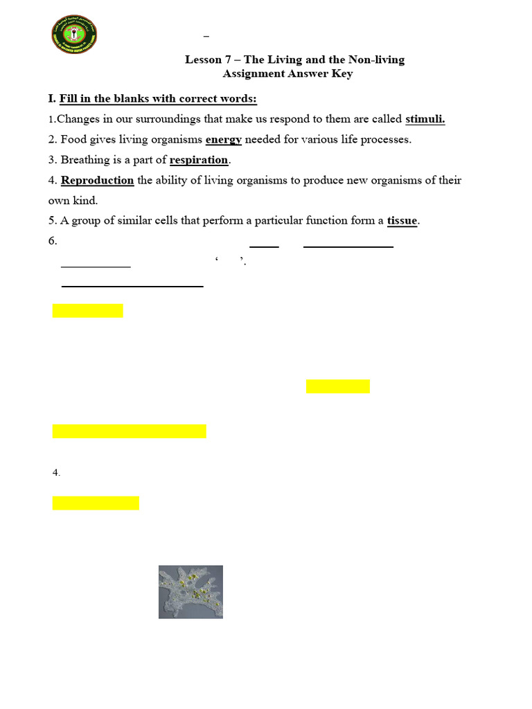 Living and Non Living Assignment Answerkey 24-25 | PDF | Biology ...