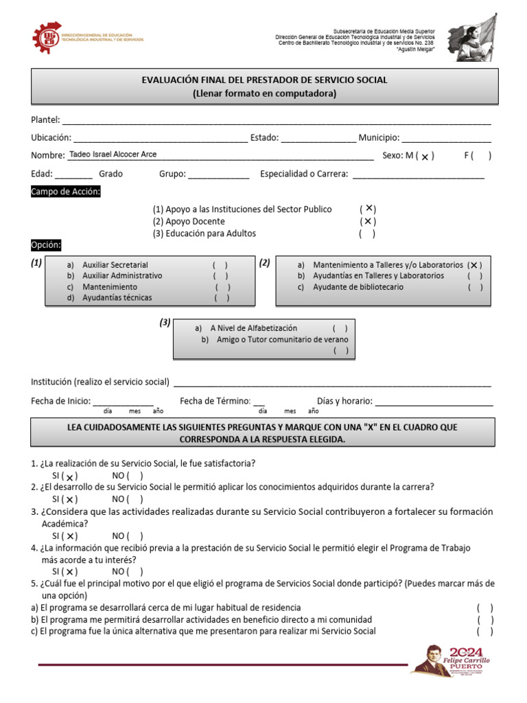 Flor de Azalea | PDF