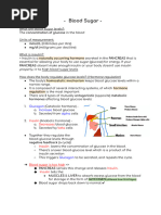 Blood Glucose Homeostasis Flowchart | PDF