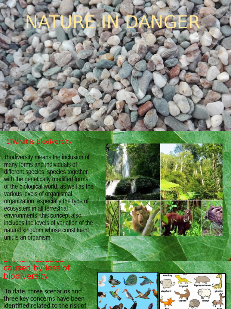Nature in Danger | PDF