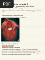 Vascularização Cardíaca | PDF | Circulação coronária | Coração