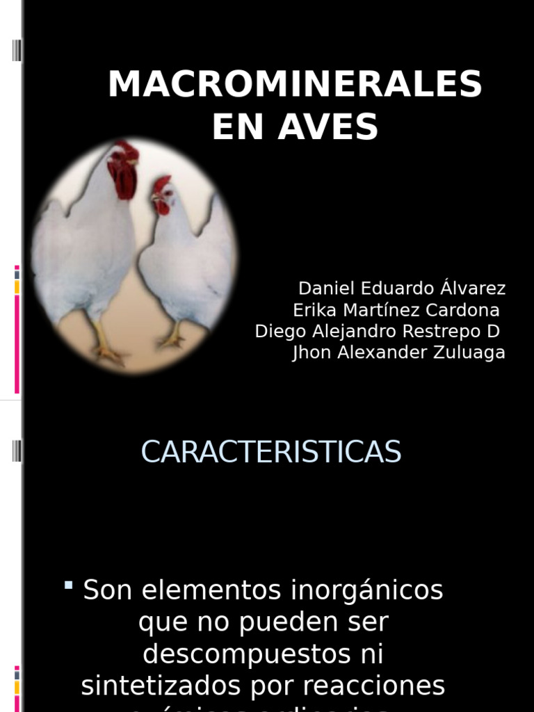 Macrominerales Esenciales en Aves | PDF | Calcio | Sodio