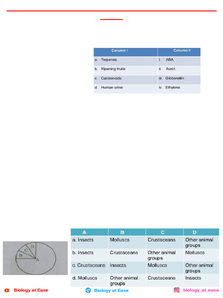 Biology Concepts and Diversity Quiz | PDF | Biodiversity | Plants