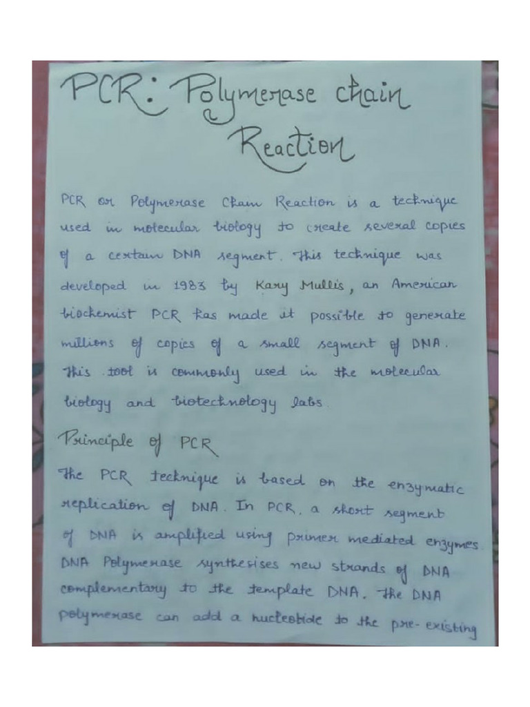 Genetic Engineering Assignment | PDF