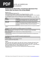CAP Cancer Protocol Colon NET | PDF | Large Intestine | Pathology