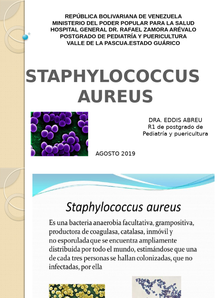 Infecciones por Staphylococcus Aureus | PDF