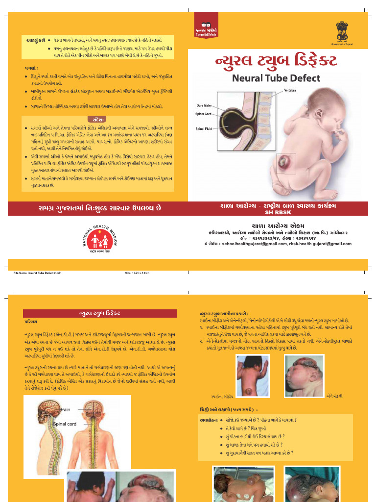 Neural Tube Defect 2 | PDF