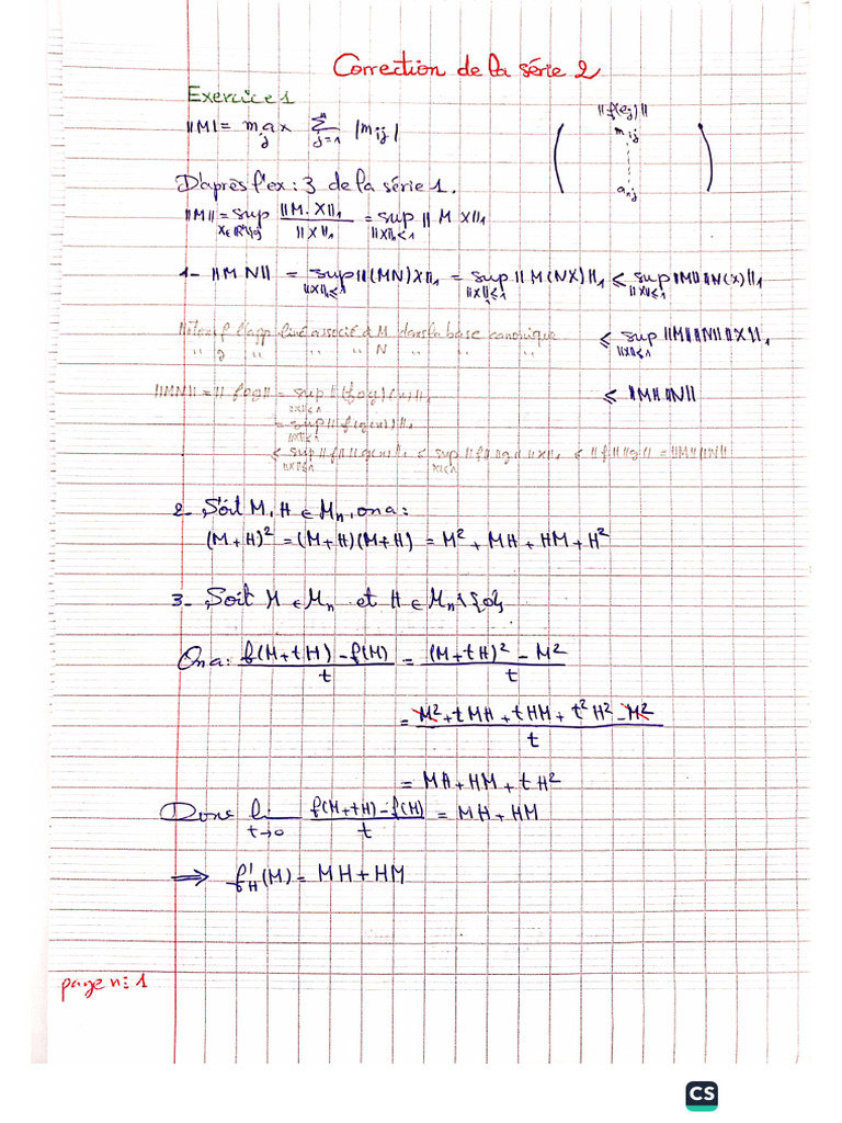 Correction Série 2 Calcul Diff | PDF