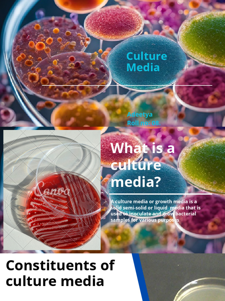 Overview of Culture Media Types | PDF | Growth Medium | Agar