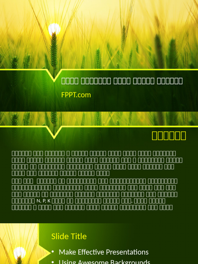 Barley Template 16x9 | PDF