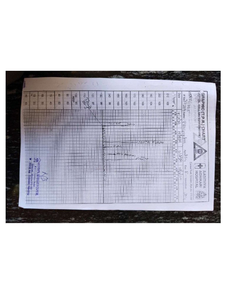 investigation and gpt chart_compressed | PDF