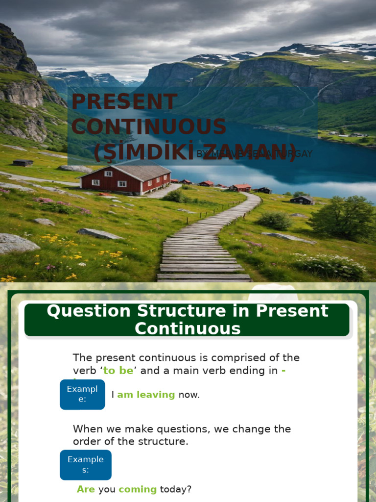 PRESENT CONTINOUS ESL MST | PDF