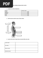 Anatomy of the Human Trunk | PDF | Abdomen | Thorax