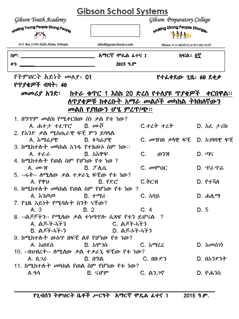 6 Amh Model 1 GSS | PDF