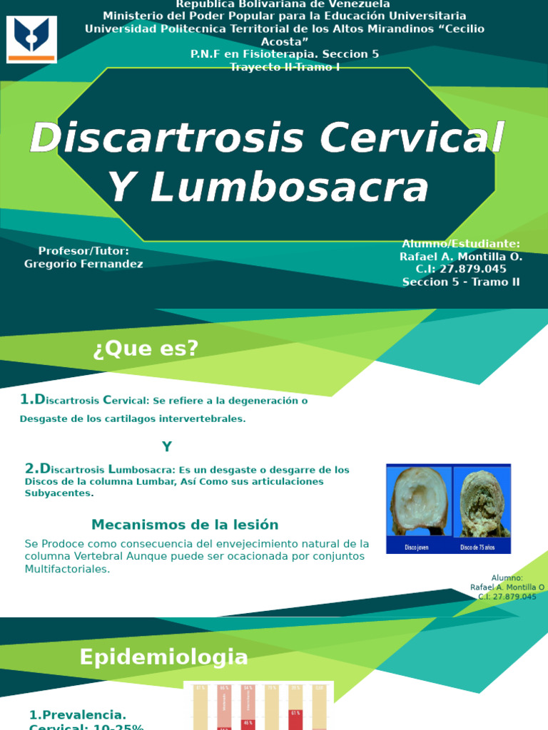 Dicartrosis Cervical y Lumbosacra | PDF | Anatomía humana | Sistema ...