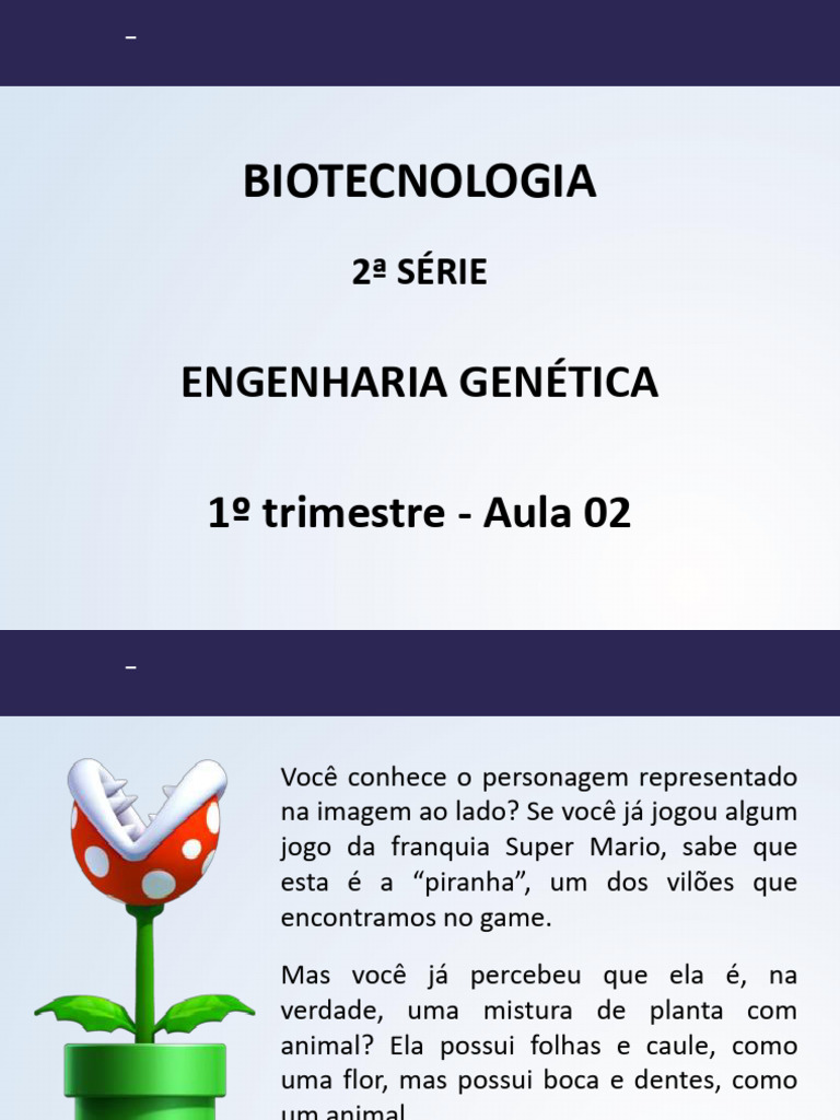 2 Ano Aula 2 Biotecnologia Engenharia | PDF | Genética | Engenharia Genética