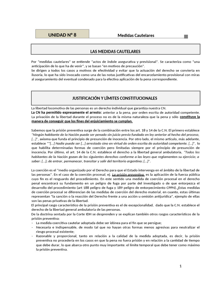 Medidas Cautelares en el Proceso Penal | PDF | Mandato | Castigos