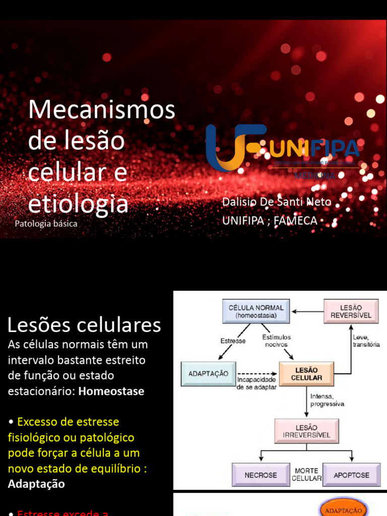 AGENTES ETIOLOGICOS E MECANISMOS DE LESÃO FAMECA 2 ANO MEDICO 2025.pptx ...