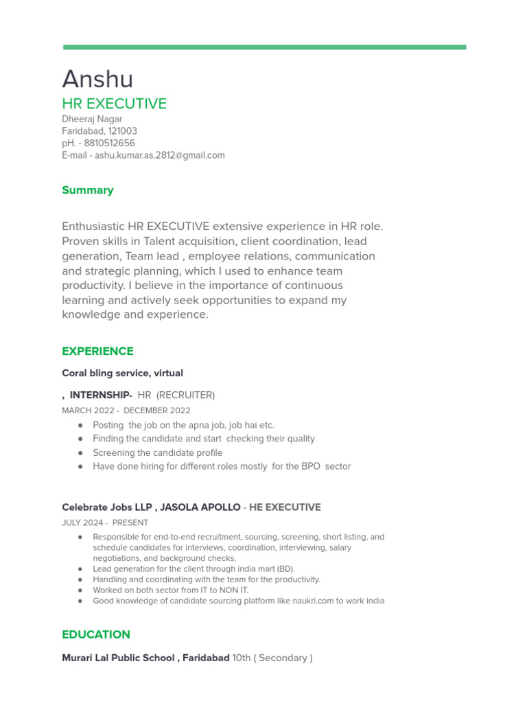 HR Executive Career Overview | PDF