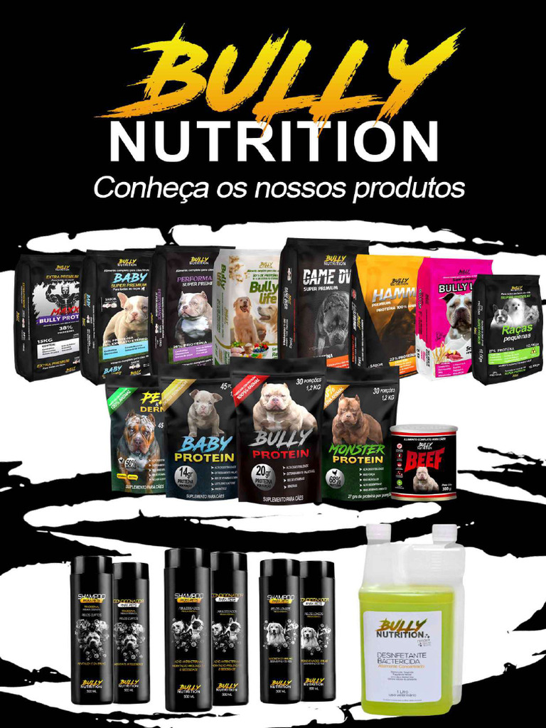 Catalogo Bully 11 | PDF