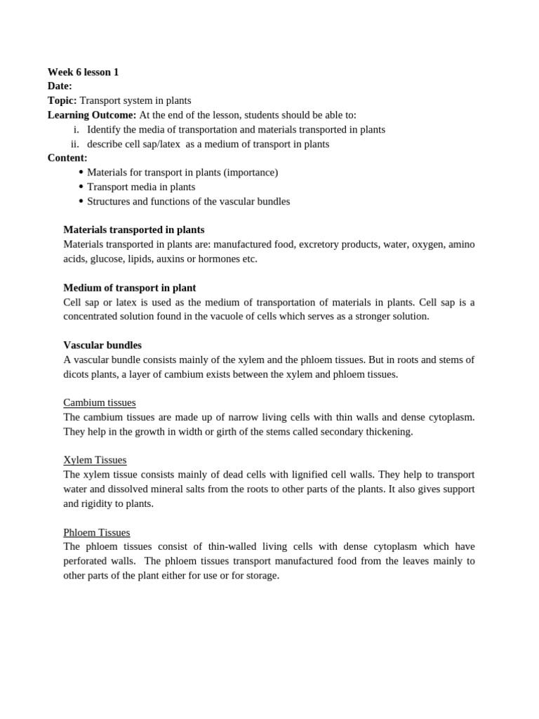 Plant Transport Systems Explained | PDF | Tissue (Biology) | Plant Stem