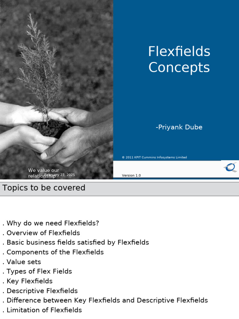 Understanding Oracle Flexfields Explained | PDF | Computing | Computer ...