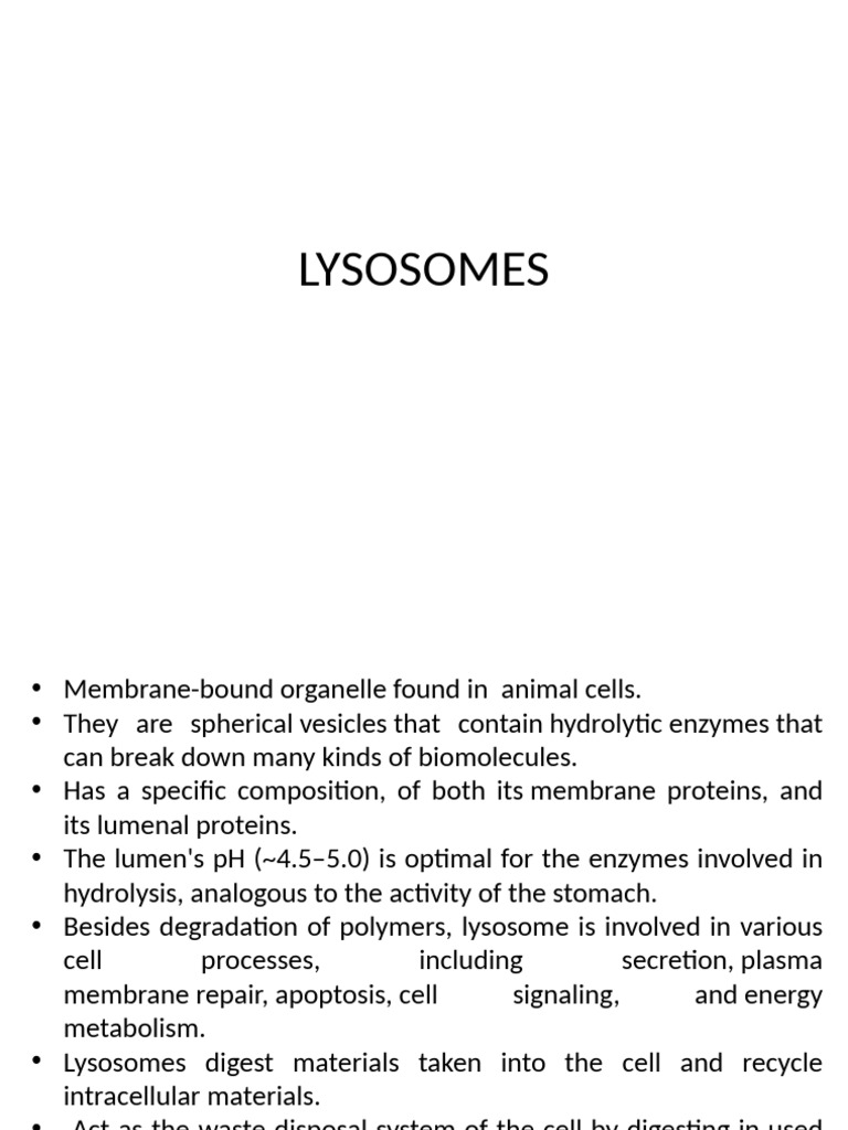 LYSOSOMES | PDF | Lysosome | Anatomy