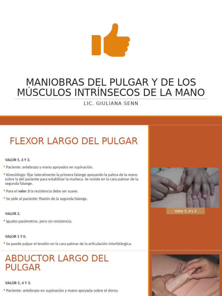Pulgar, Eminencia Tenar e Hipotenar | PDF | Mano | Sistema ...