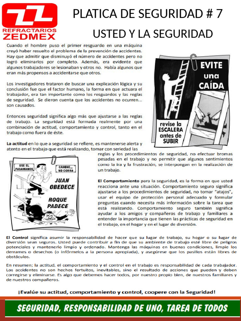 Platica 7 USTED Y LA SEGURIDAD | PDF