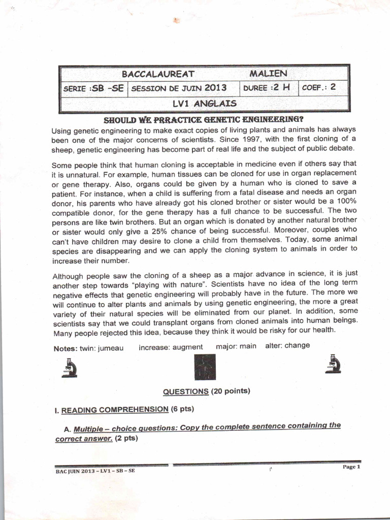 Bac Tse Tsexp Lv1 2013 | PDF