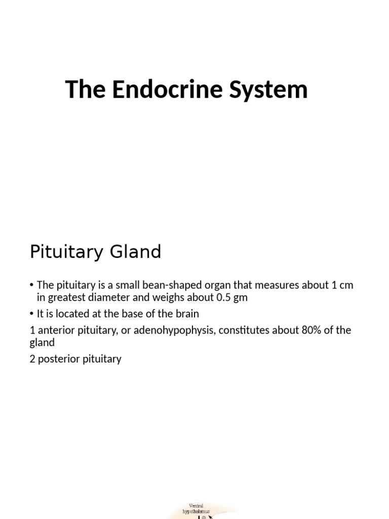Patho Endocrine Disease | PDF | Hyperthyroidism | Thyroid