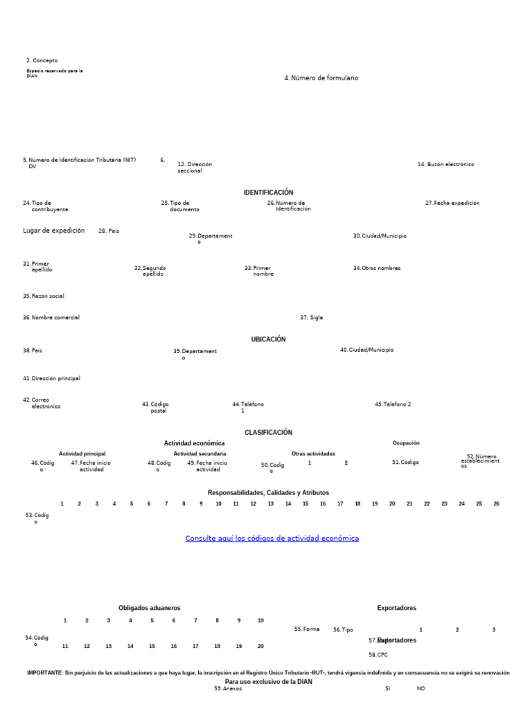 Rut Editable para Envio A La Dian. | PDF