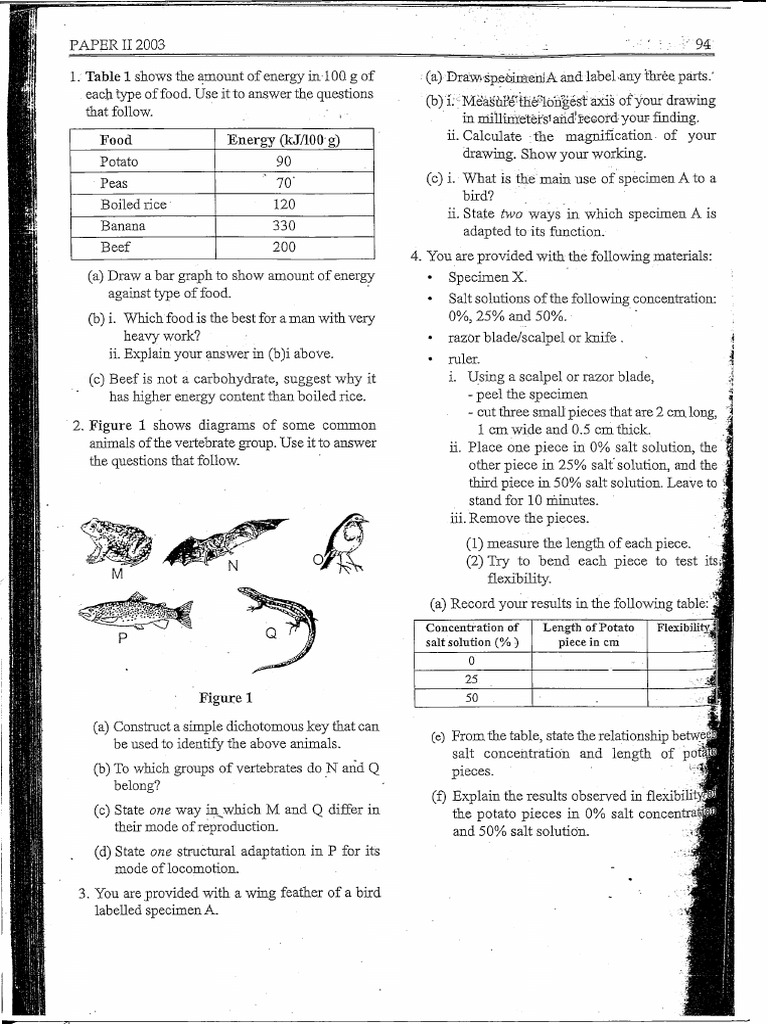 Bio(1)dichotomous_key_ | PDF