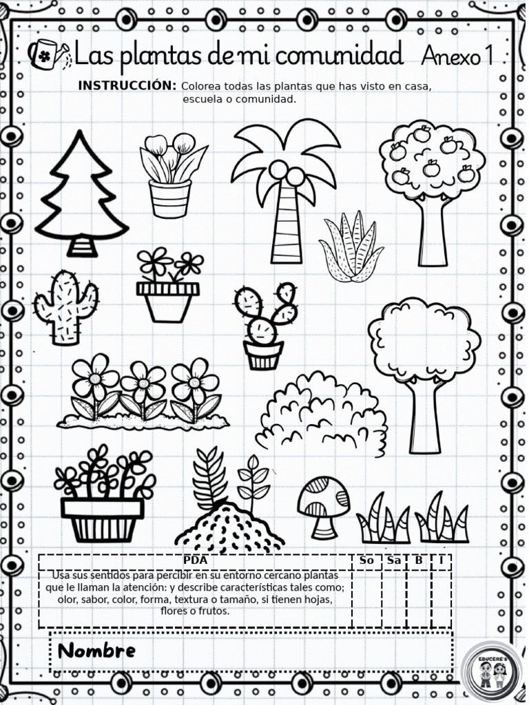 Actividades de Huerto para Preescolar | PDF | Huerta | Plantas