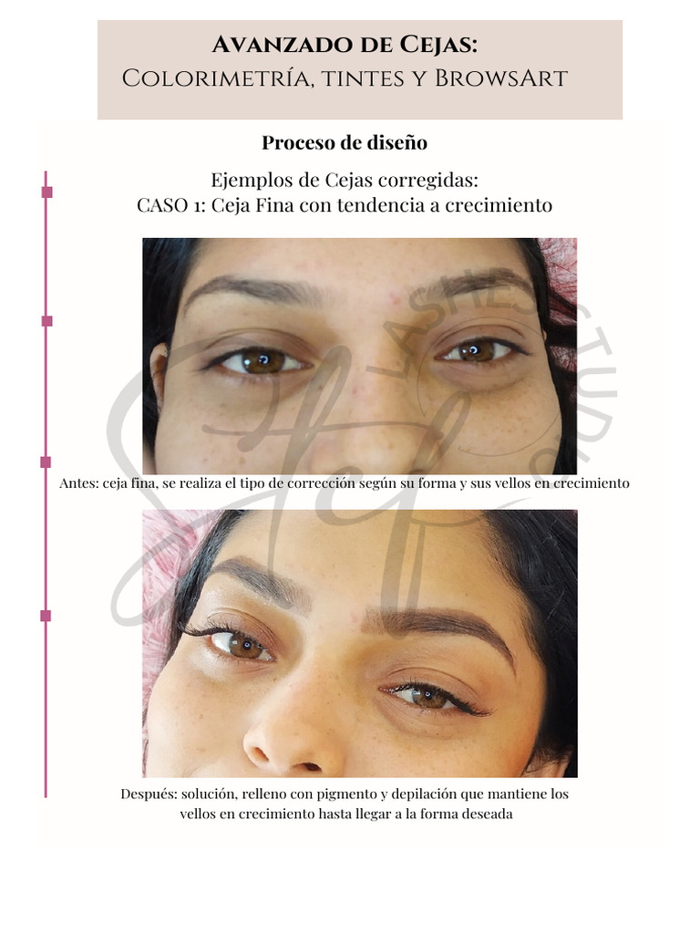 Avanzado de Cejas Tintes Stef | PDF