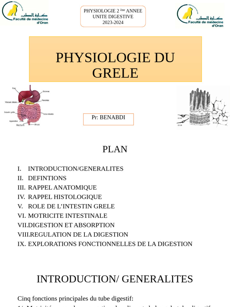 3) Physiologie Du Grele | PDF | Tractus gastro-intestinal | Système nerveux