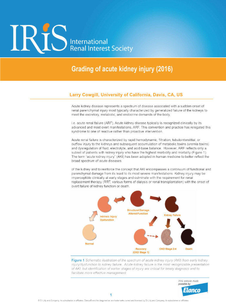 comprimido ira ingles | PDF