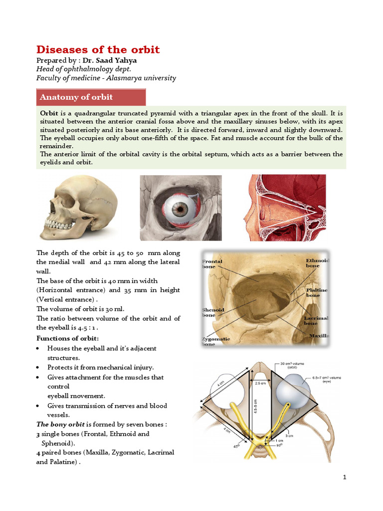 Diseases of the orbit | PDF | Human Head And Neck | Human Anatomy