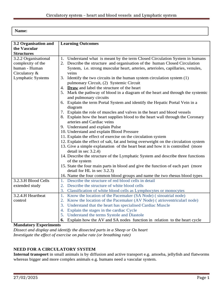 Human Circulatory & Lymphatic Systems | PDF | Circulatory System ...