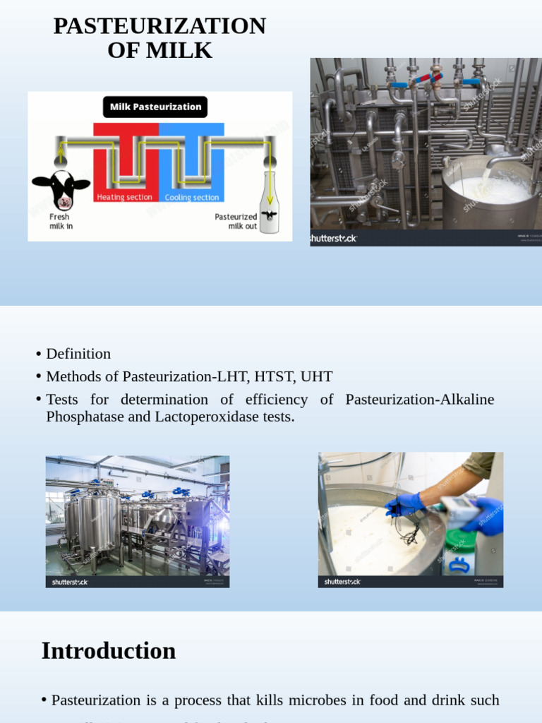 Milk Pasteurization Methods Explained | PDF | Food Preservation | Milk