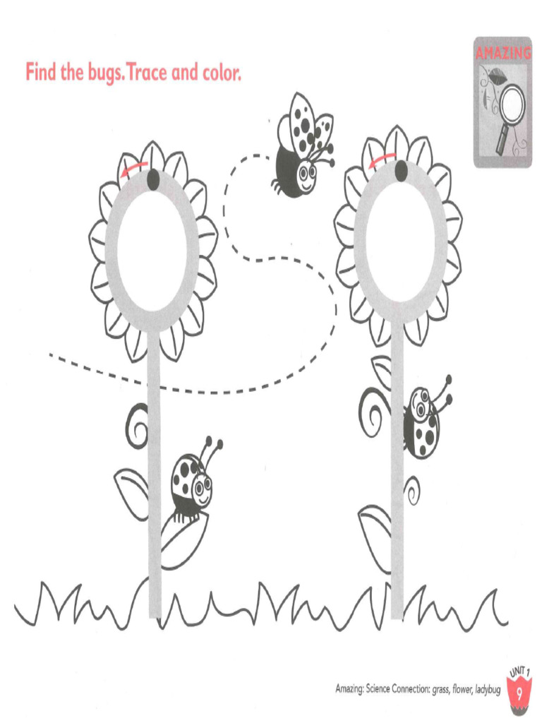 KINDER BOOKLET-5 | PDF